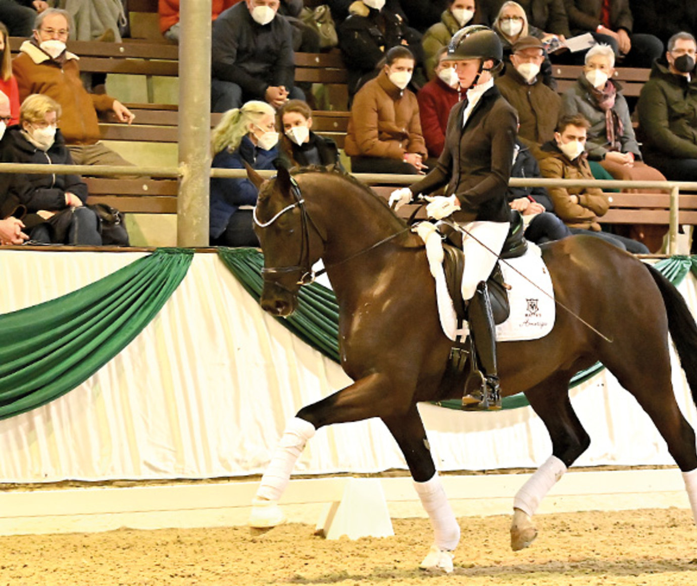 Stallions | Klosterhof Medingen