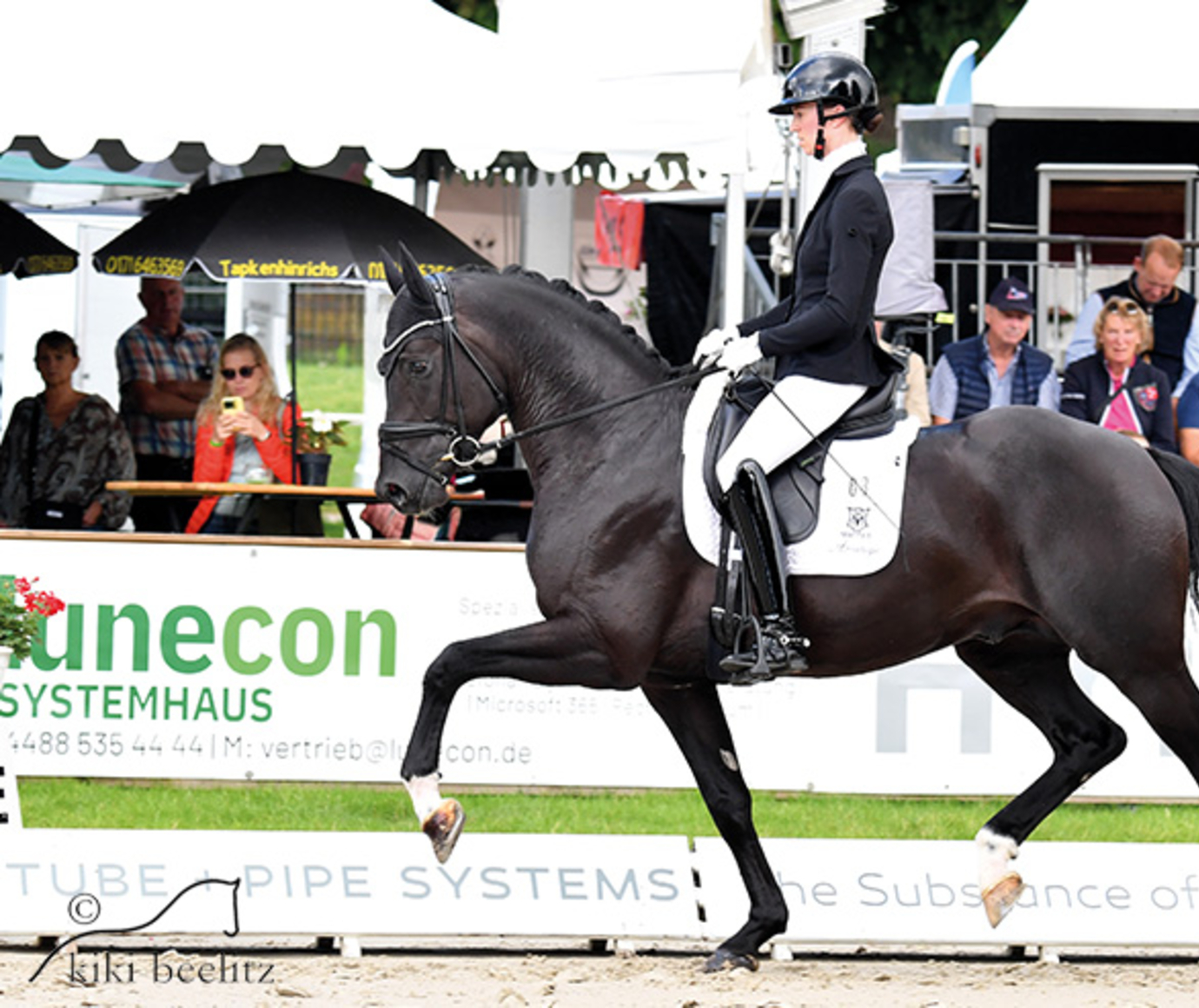 Stallions | Klosterhof Medingen